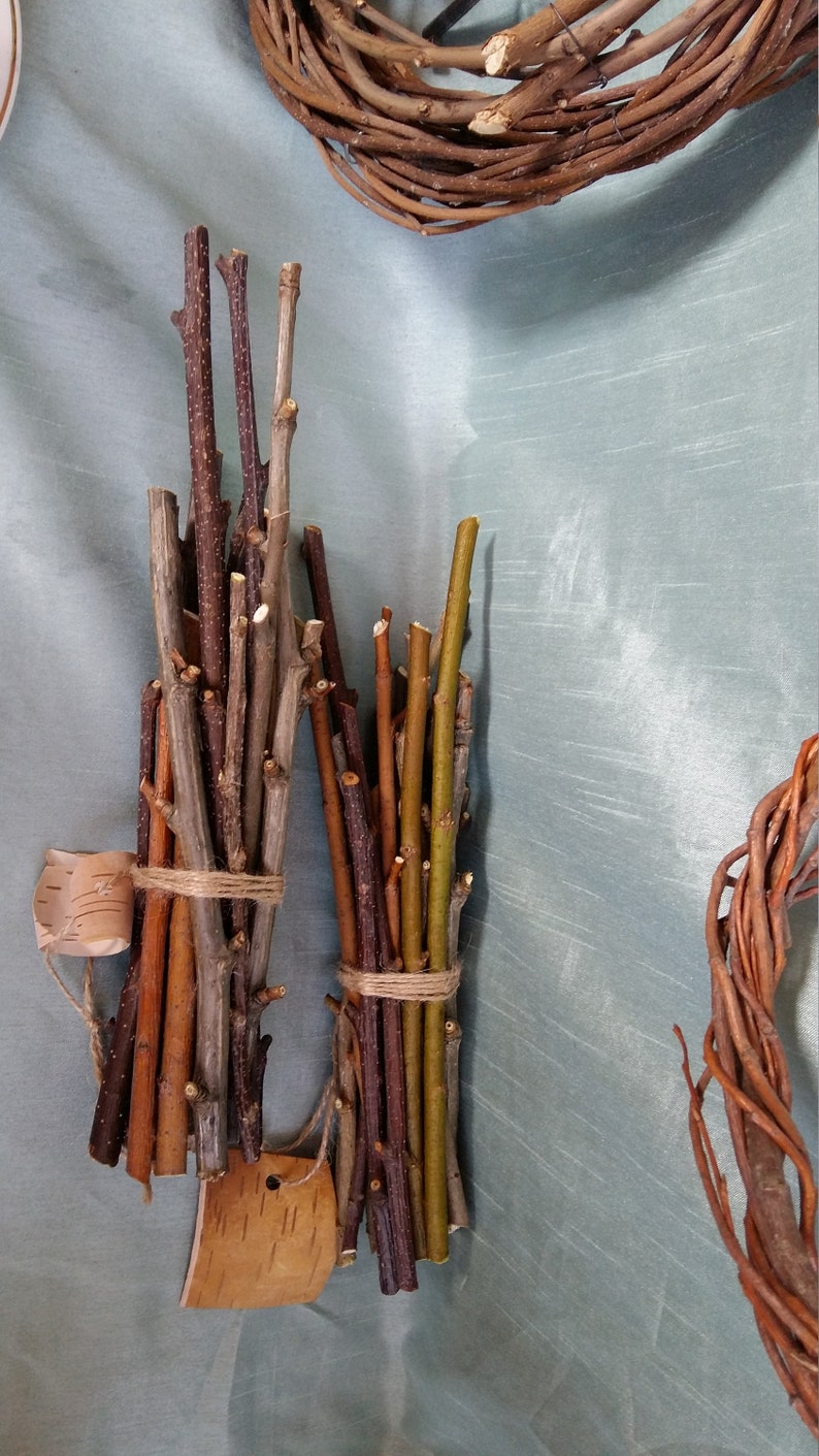 Craft Sticks Natural Northern Tree Wood Sticks Set Rustic | Etsy