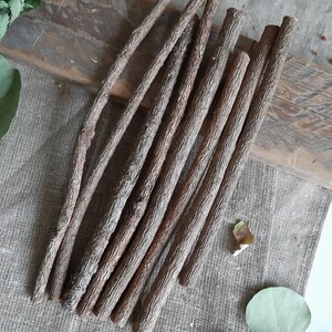 Pine Sticks Bundle Pine Tree Wood Sticks Wooden Twigs Natural Branches ...