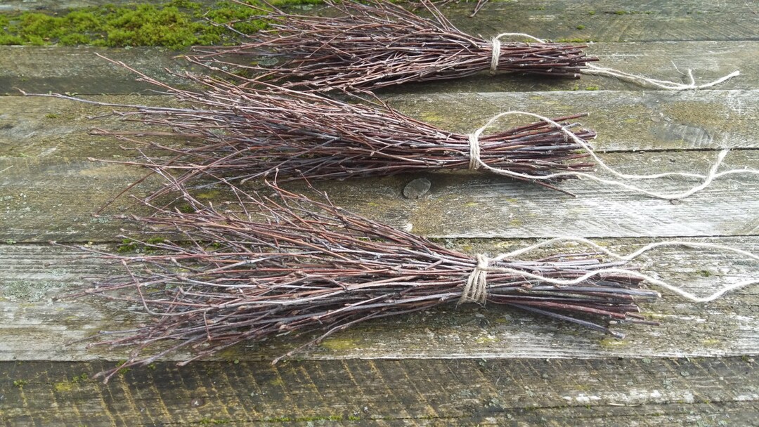 Rustic Natural Decor Birch Twigs Bundle Branches Primitive Home Decor ...