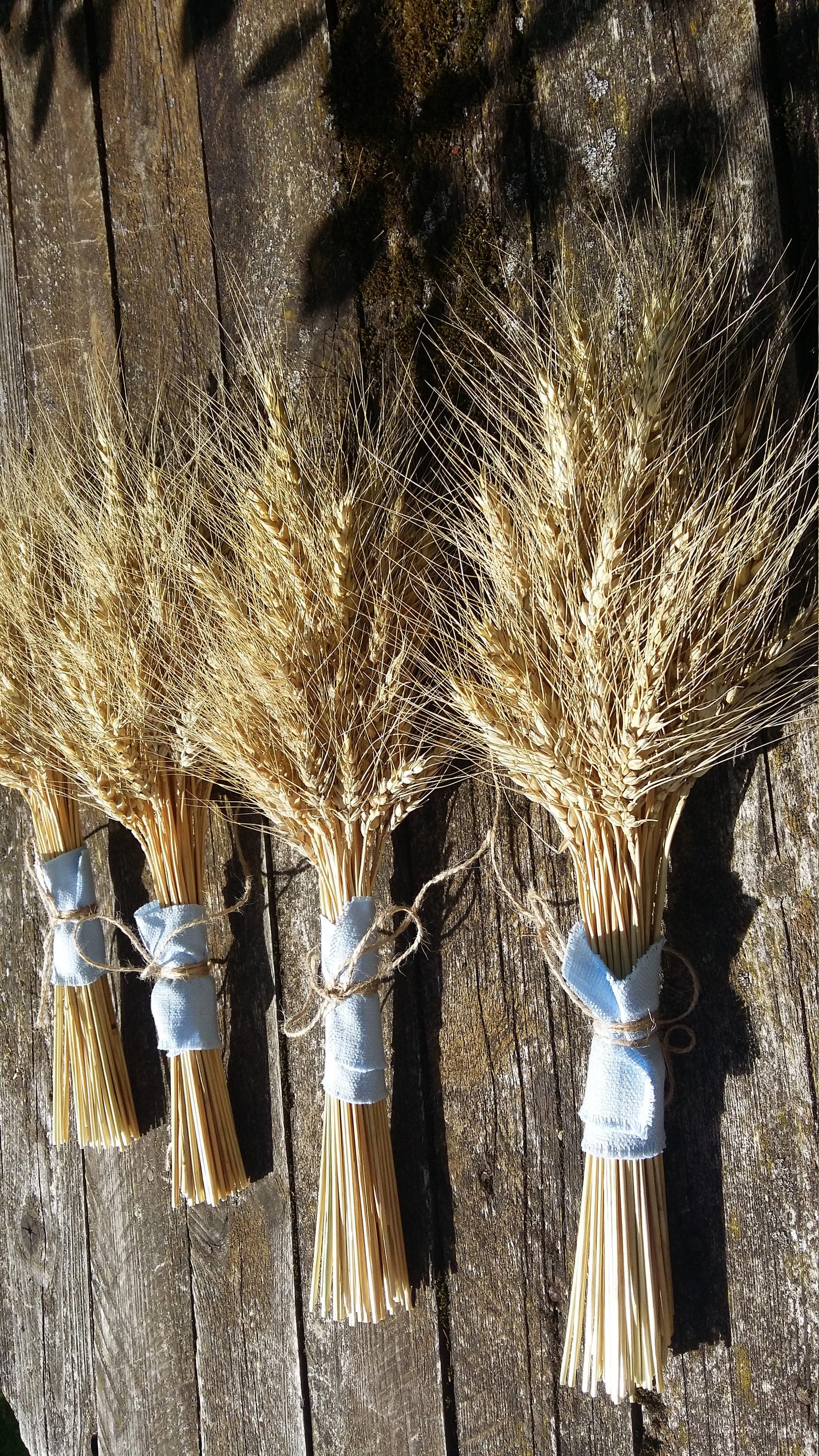 Natural wheat dried flowers bouquet ears of rye dried bunch | Etsy