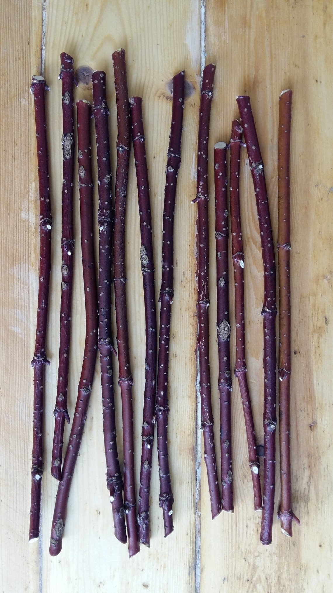 Craft sticks red dogwood tree wood branches sticks rustic home | Etsy