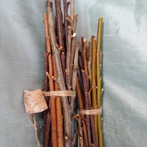 Craft Sticks Natural Northern Tree Wood Sticks Set Rustic Pimitive ...