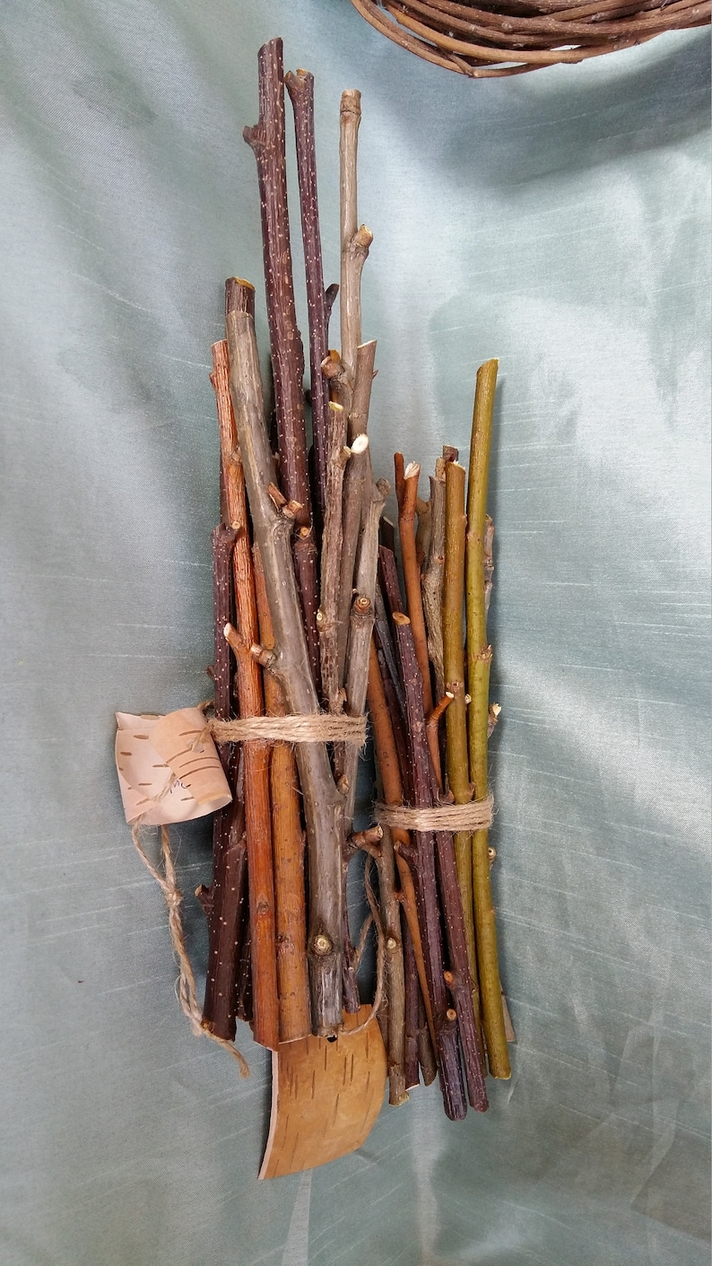 Craft Sticks Natural Northern Tree Wood Sticks Set Rustic | Etsy