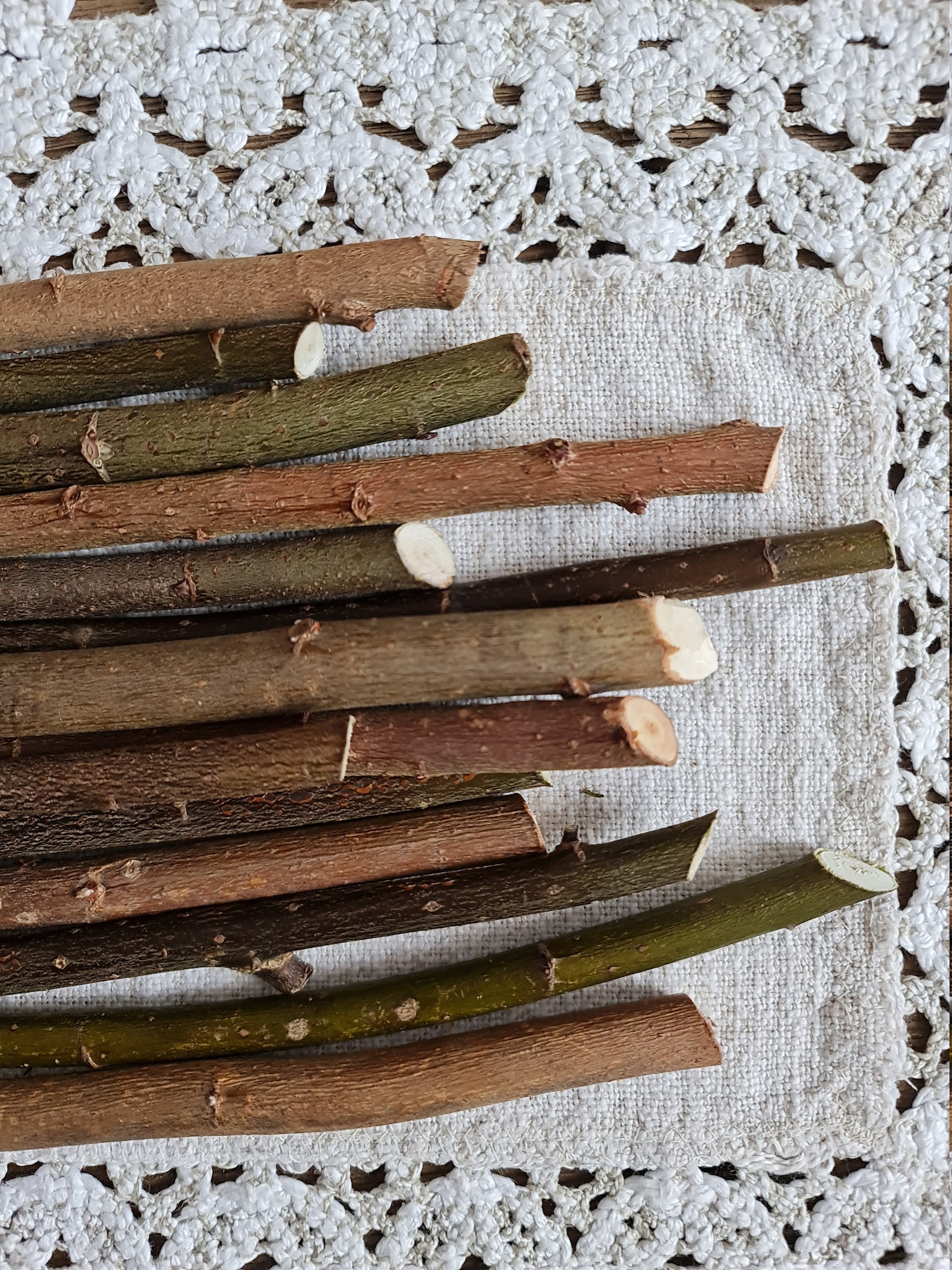 Willow Branches Wood Sticks Bundle of 14 Tree Twigs Natural - Etsy