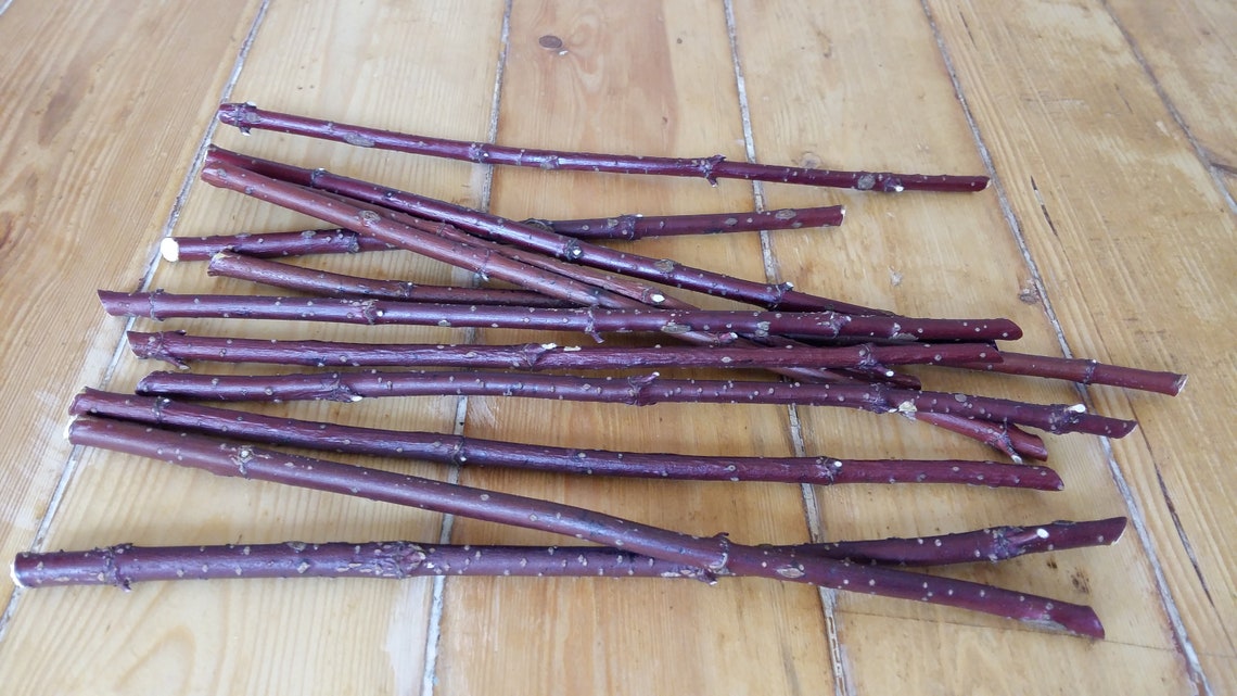 Craft Sticks Red Dogwood Tree Wood Branches Sticks Rustic Home - Etsy