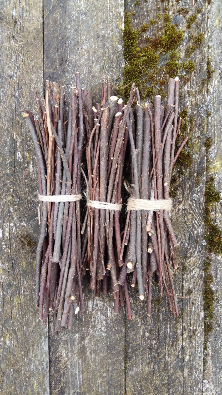 Hackberry twigs rustic home decor wooden twigs branch bundle | Etsy