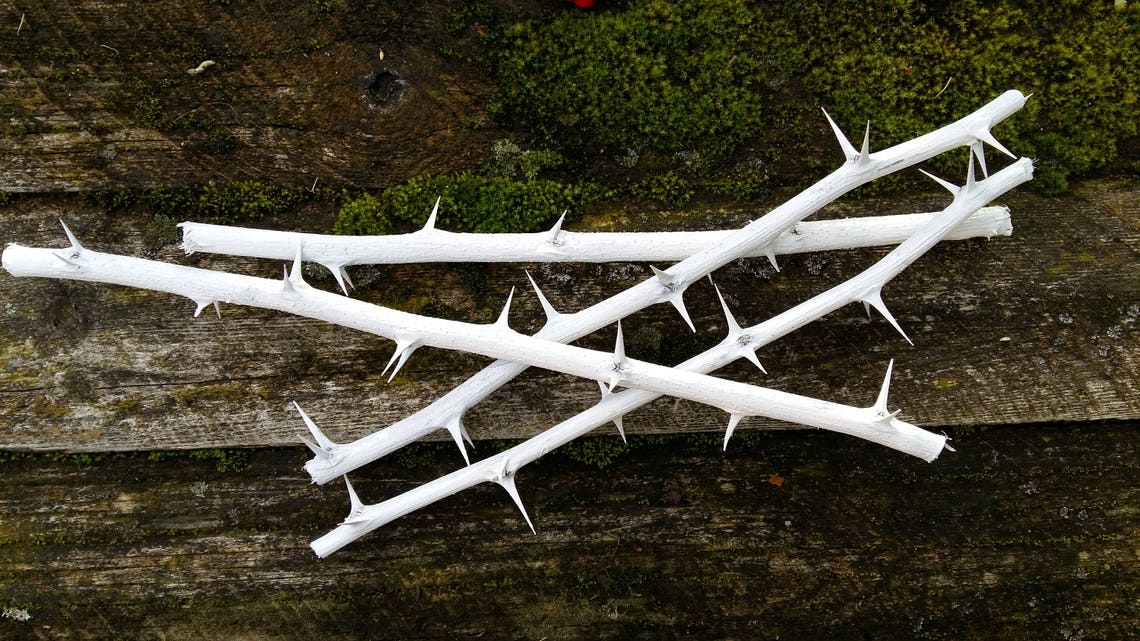 White Sticks Thorns Thorn Tree Branches Acacia Wood Natural - Etsy
