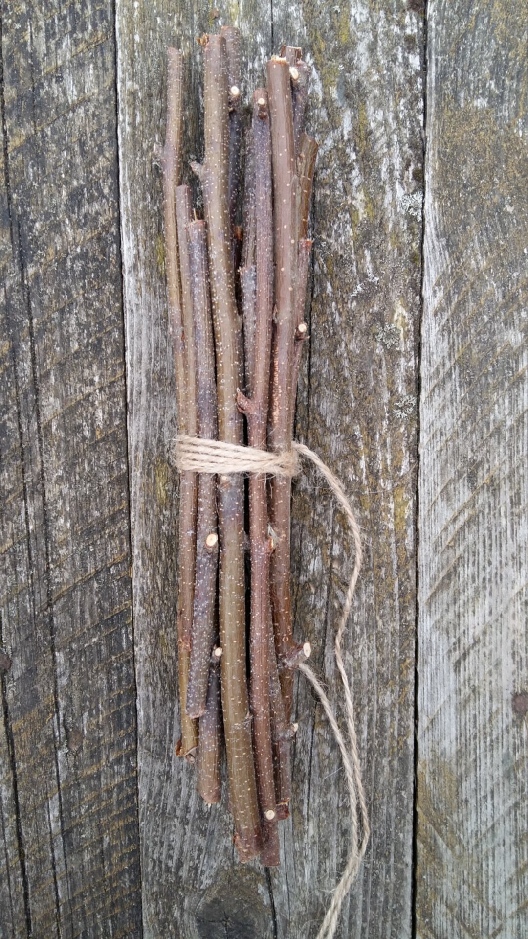 Birch Twigs Crafting Sticks Rustic Home Decor Bundle Tree Branches ...