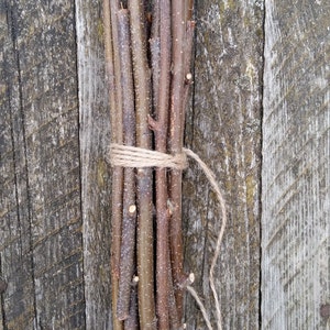 Birch Twigs Crafting Sticks Rustic Home Decor Bundle Tree Branches ...