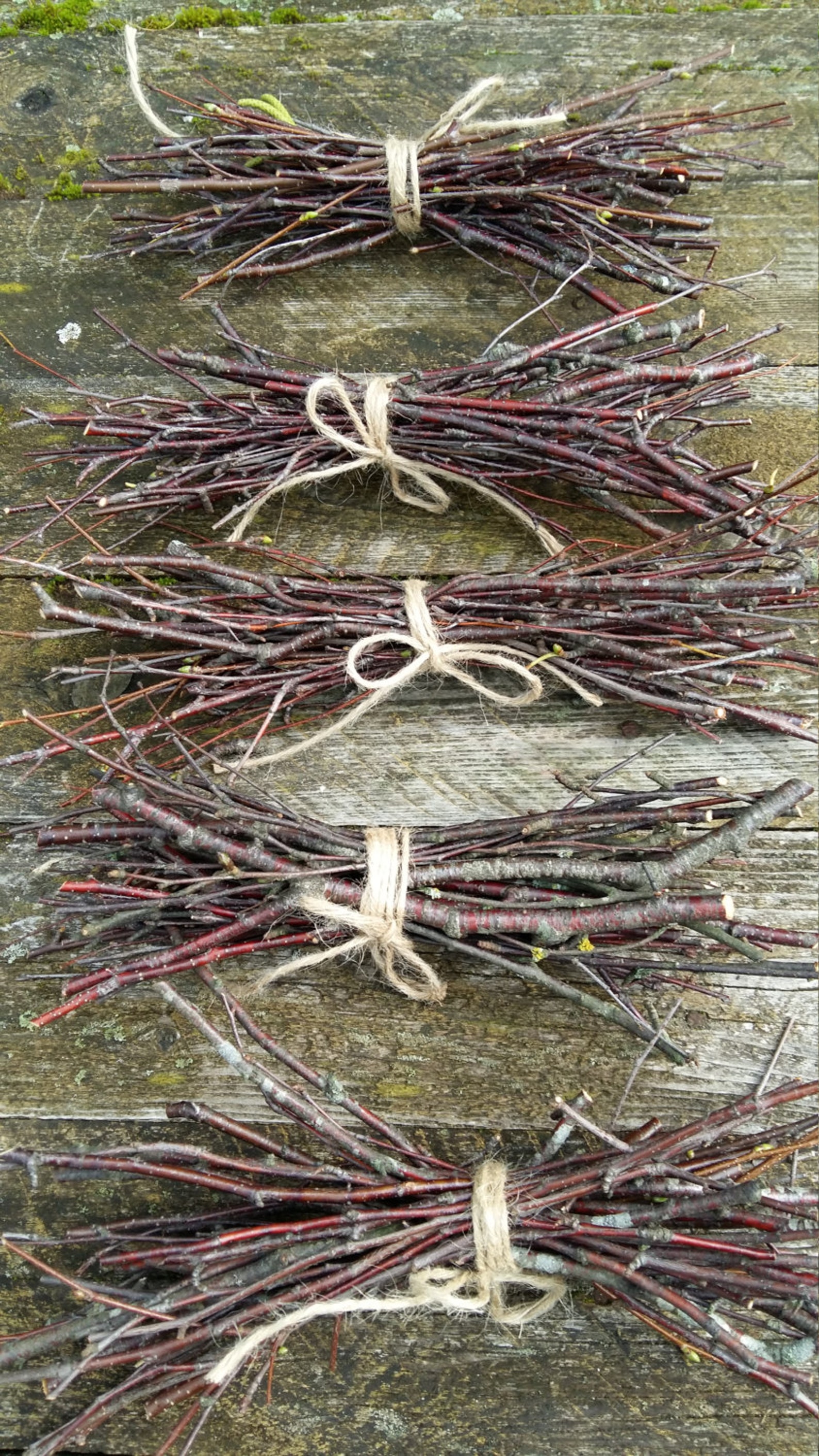 Birch Tree Twigs Branches 6 Bundles Rustic Woodland Wedding - Etsy