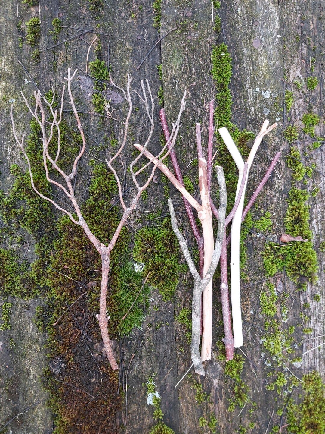 Natural Wood Stick Branches Set Decorative Forked Tree Sticks - Etsy