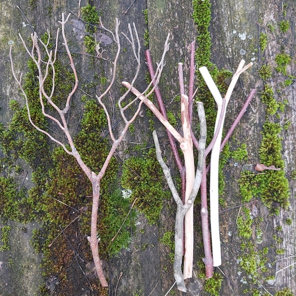 Decorative Sticks - Etsy