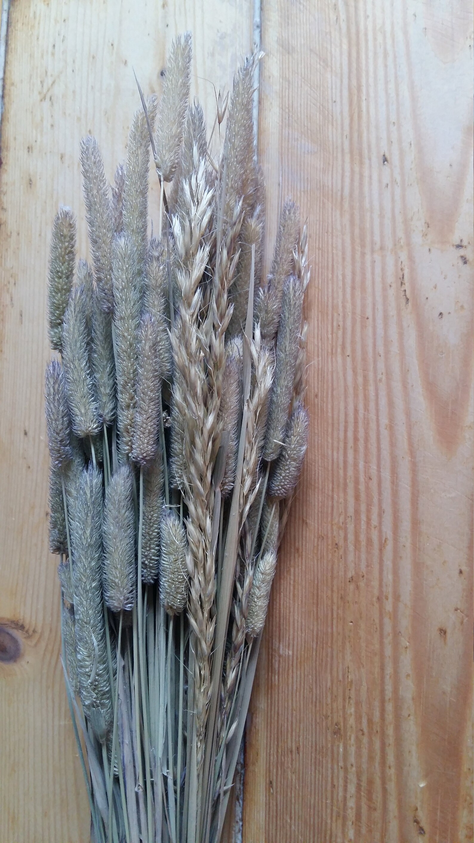 Wheat Grass Bouquet of Dried Flowers Natural Wild Flowers - Etsy