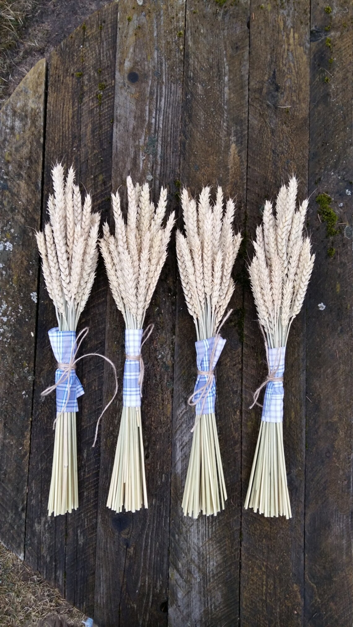 Dried wheat bunch wheat bouquet ears of wheat dried ear grain | Etsy