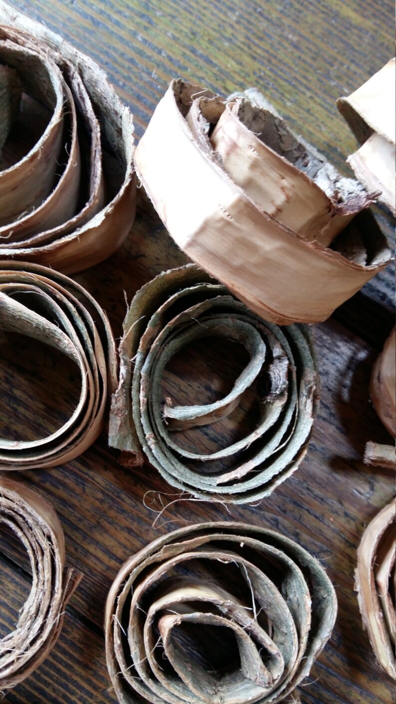 Rustic Home Decor Primitive Willow Wood Bark Decor Wooden Tree - Etsy