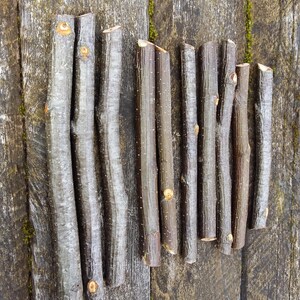 Ogham Set Supplies Wood Sticks Branches Twigs Natural Alder Tree Wooden ...
