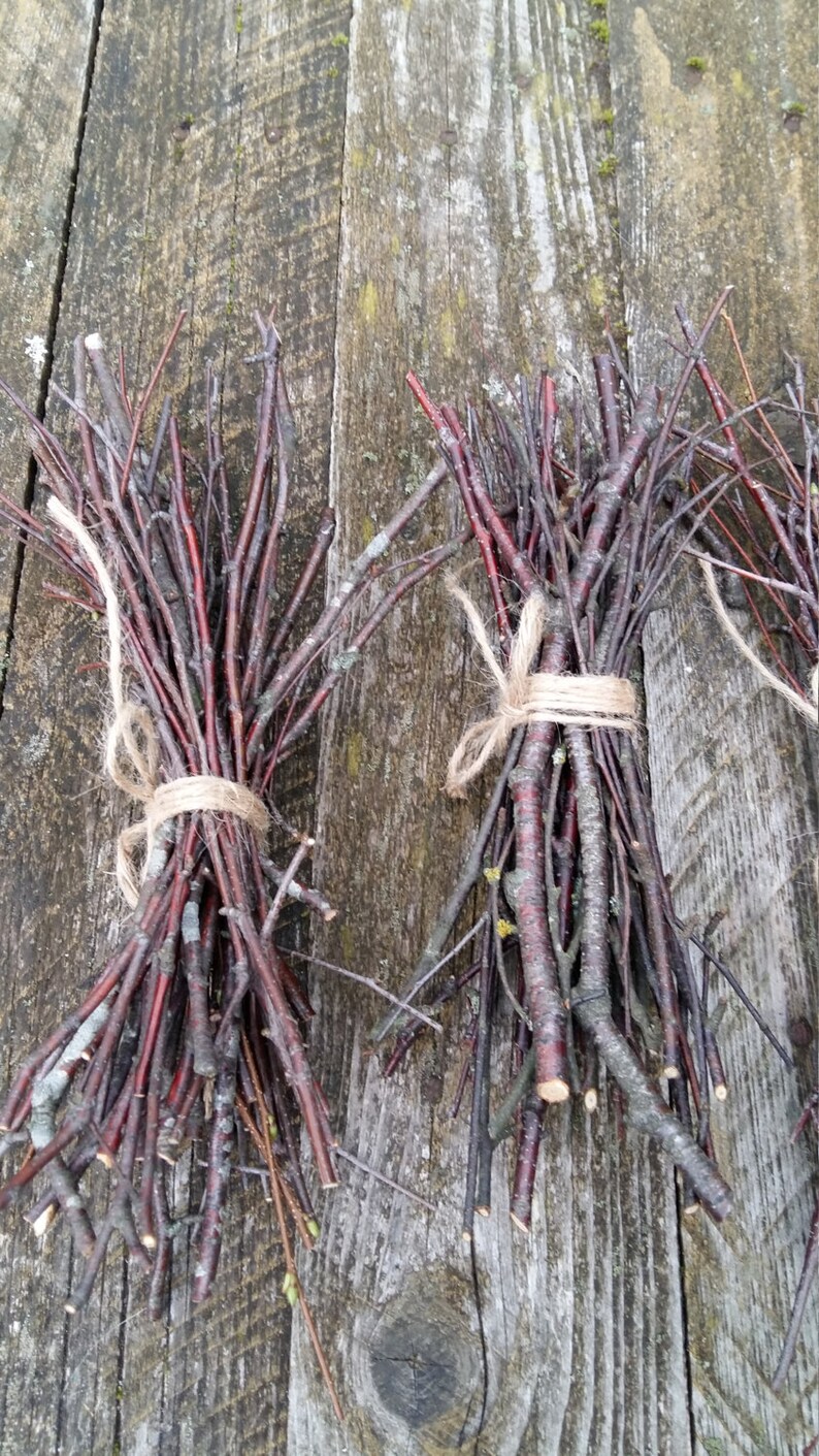 Birch Tree Twigs Branches 6 Bundles Rustic Woodland Wedding - Etsy