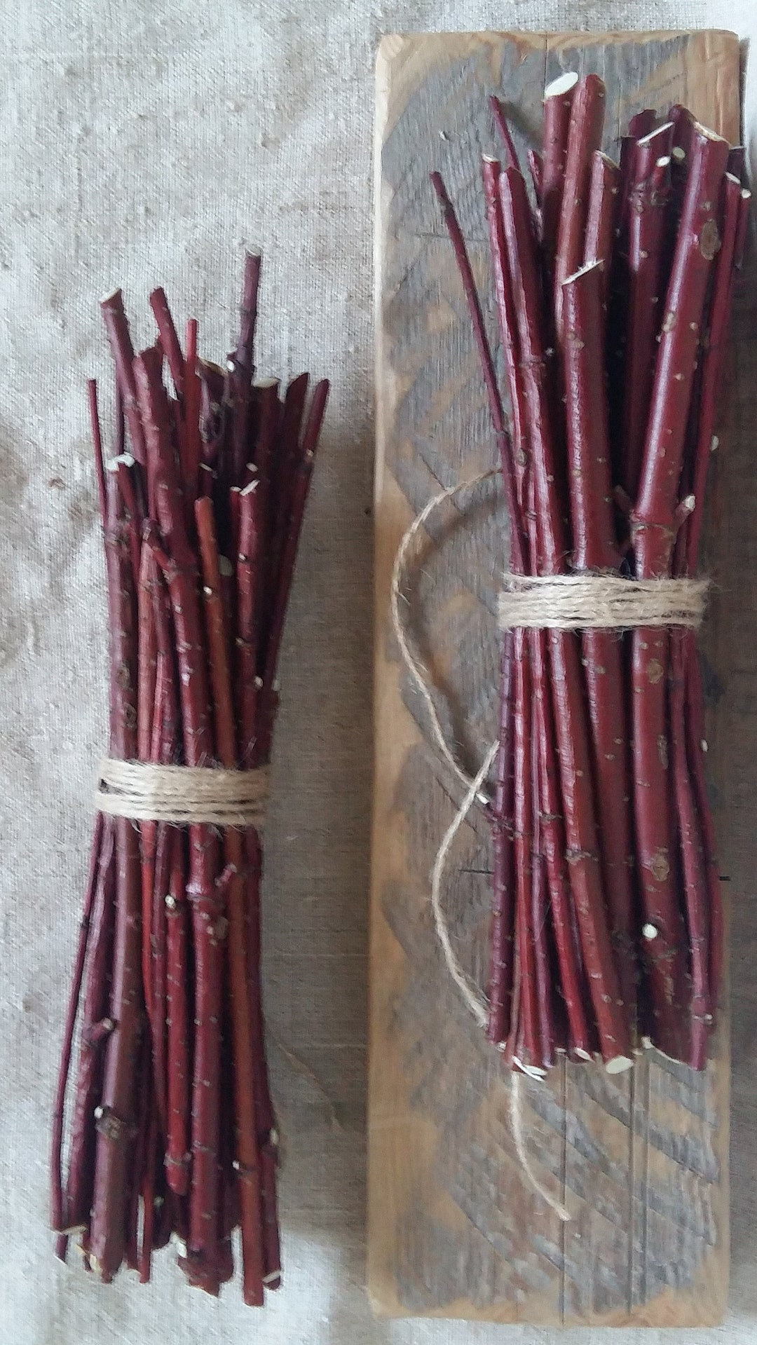 Red Twigs Red Dogwood Branches Natural Wooden Twigs Sticks Arts Crafts ...
