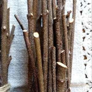 Rustic Home Design Interior Photo Props and Decors Natural Birch Twigs ...