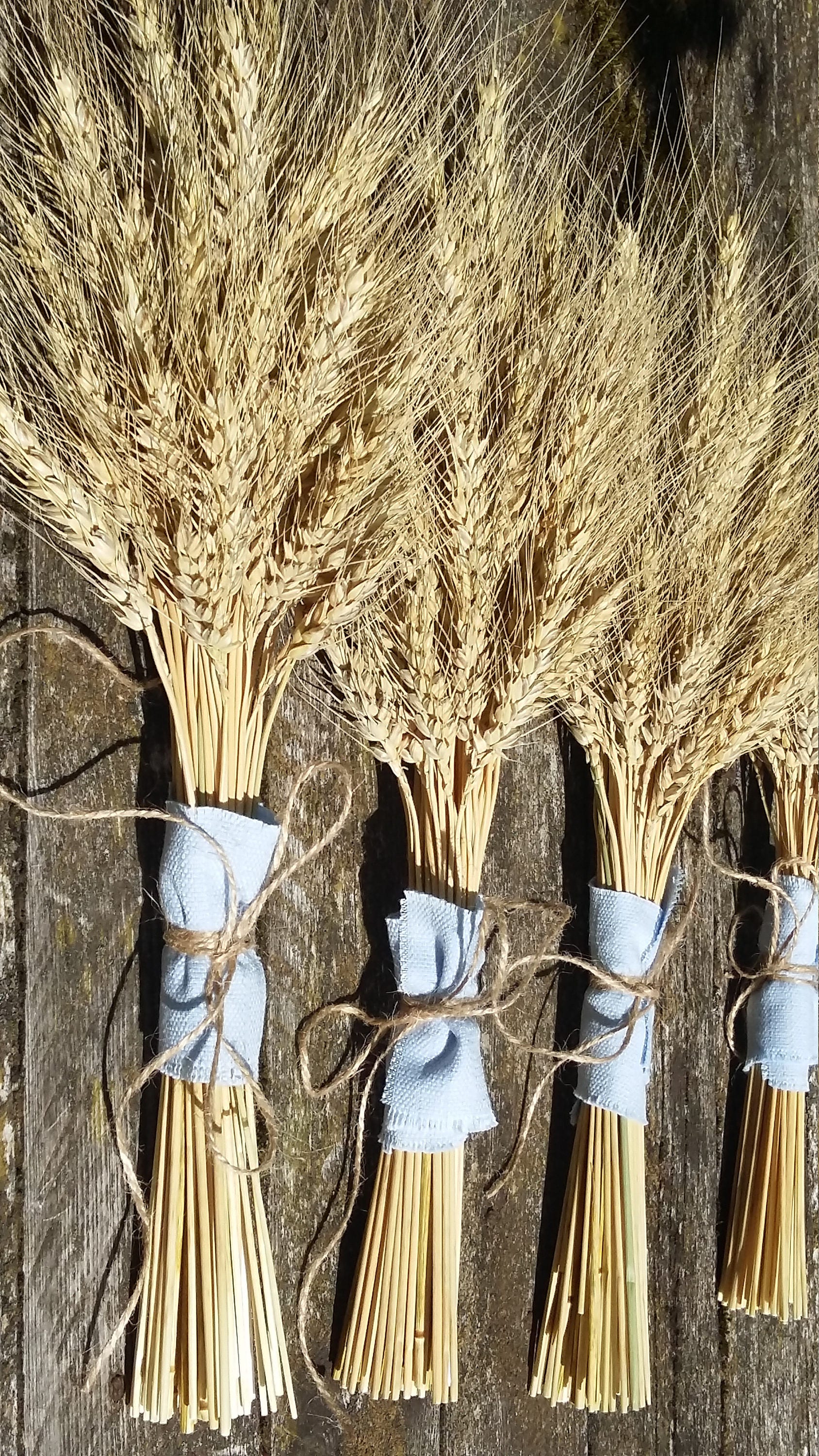 Natural wheat dried flowers bouquet ears of rye dried bunch | Etsy