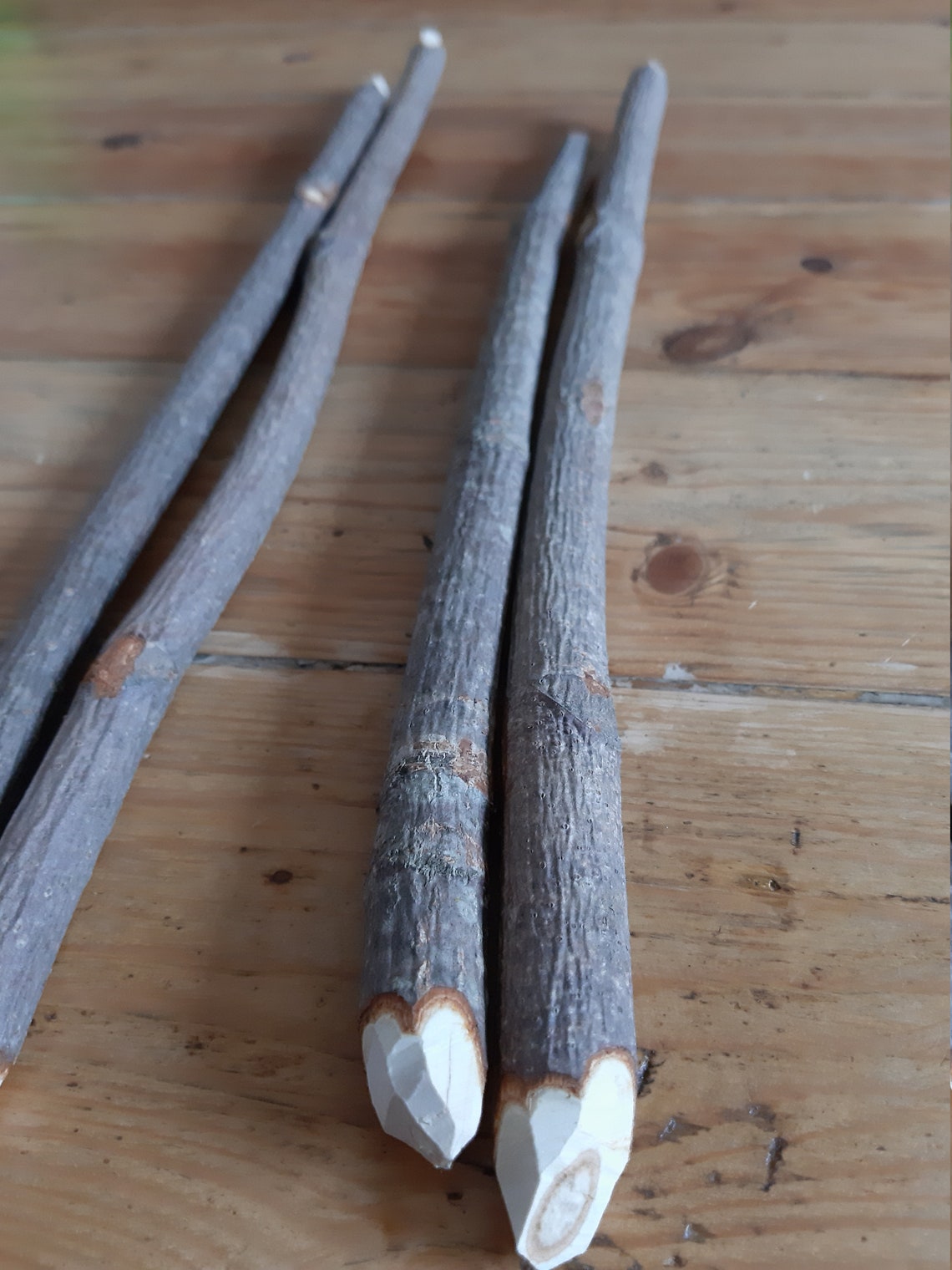 Chestnut Wand Supply Wooden Sticks Horse Chestnut Tree Natural - Etsy
