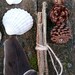Nature Curiosity Collection Set Curio Shelf Starter Kit Natural ...