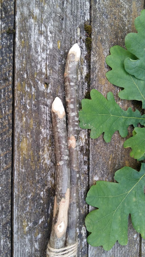 Tree Stick Tool