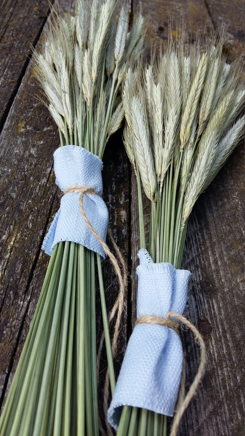Natural Wheat Bouquet Natural Dried Rye Ears Bunch Rustic Barn - Etsy