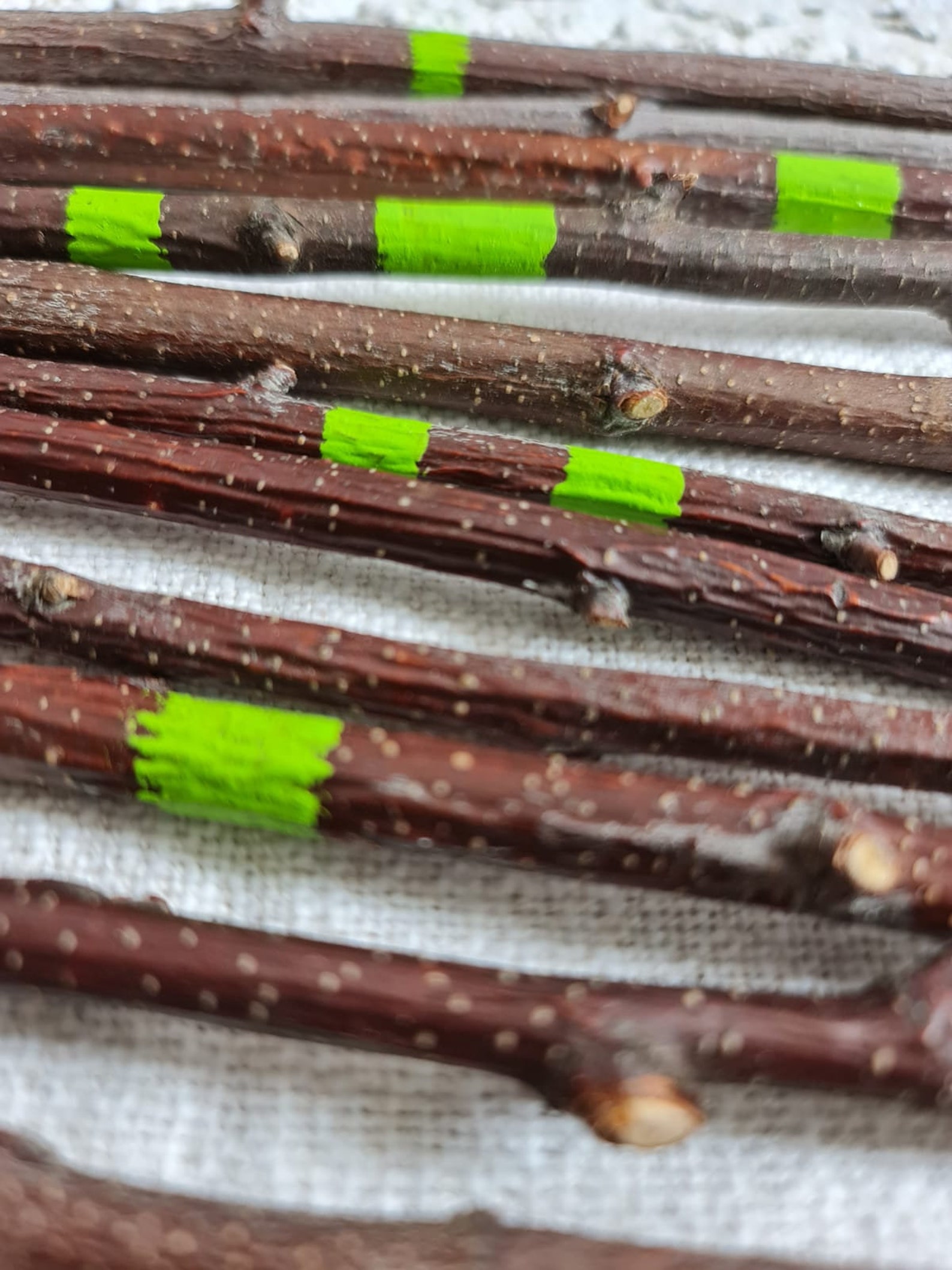 Natural Wood Sticks Hand Painted Rustic Home Decor Primitive | Etsy