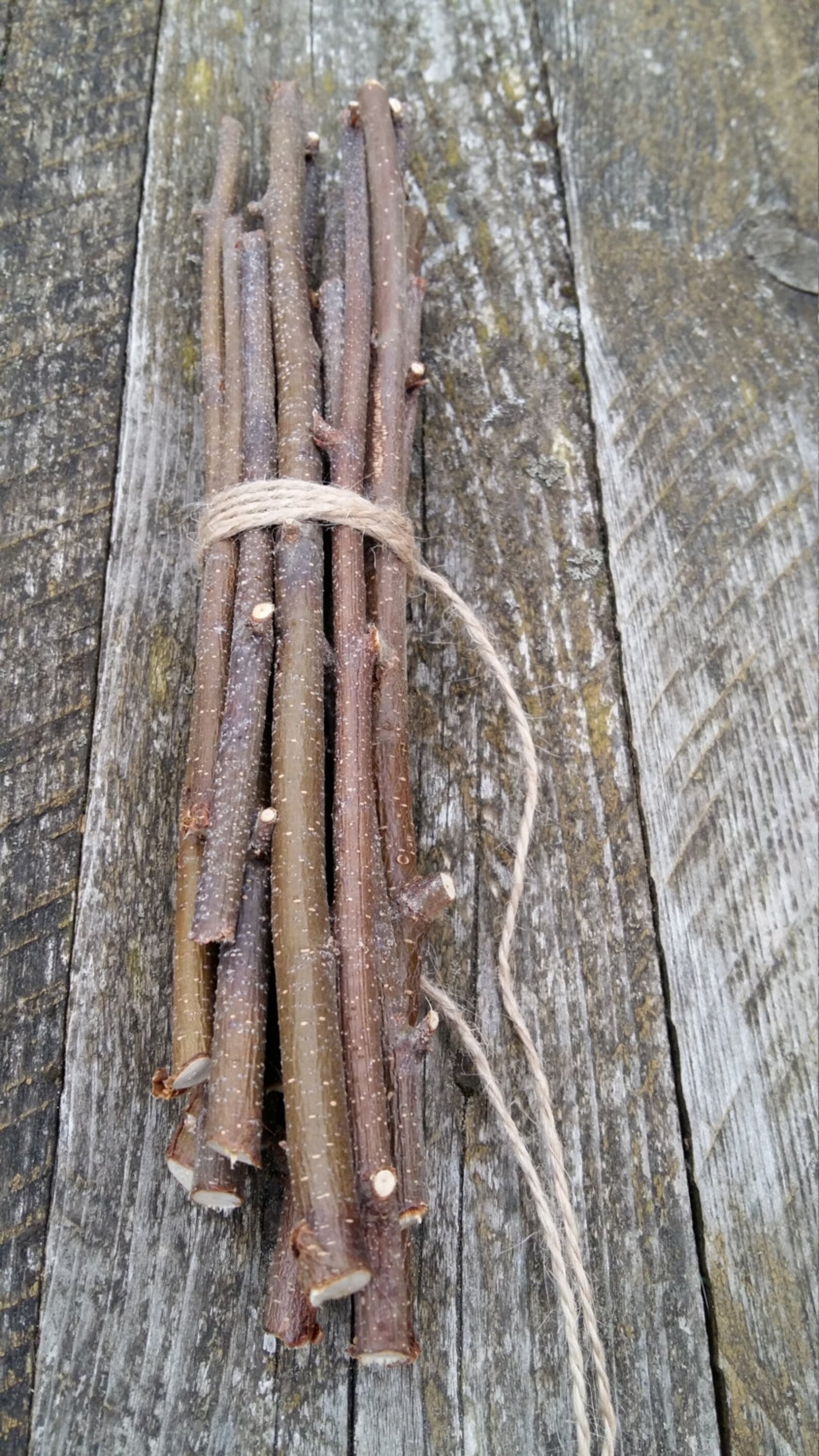 Birch Twigs Crafting Sticks Rustic Home Decor Bundle Tree - Etsy