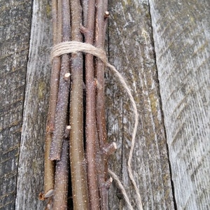 Birch Twigs Crafting Sticks Rustic Home Decor Bundle Tree Branches ...