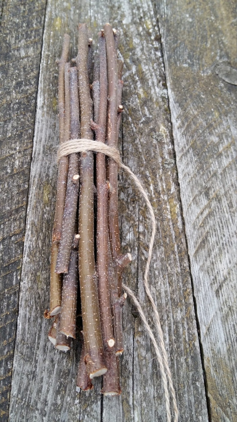 Birch Twigs Crafting Sticks Rustic Home Decor Bundle Tree - Etsy