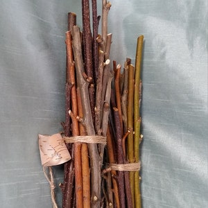 Craft Sticks Natural Northern Tree Wood Sticks Set Rustic Pimitive ...