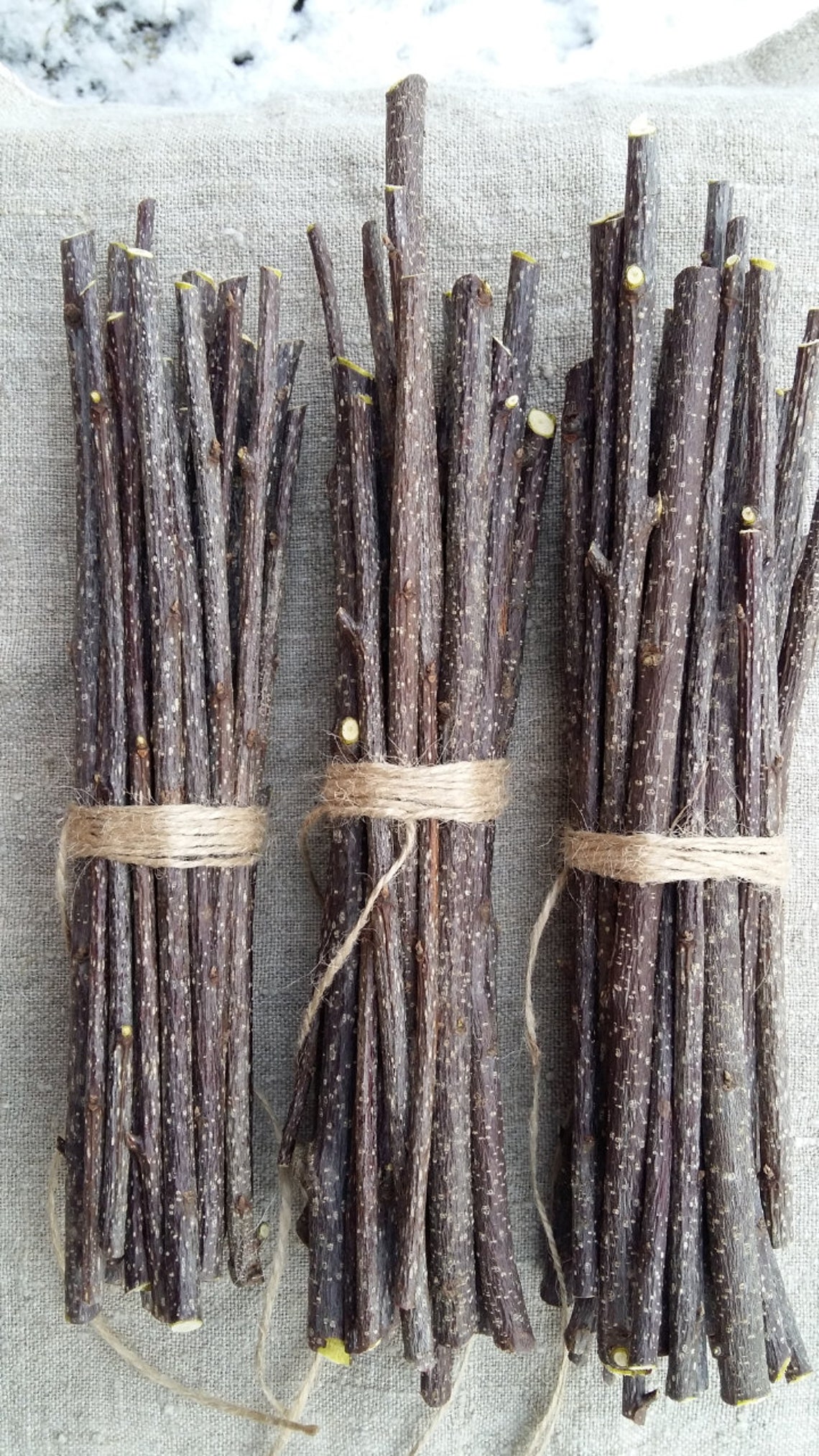 Bundle of Twigs Rustic Home Decor Botanical Tree Branches - Etsy