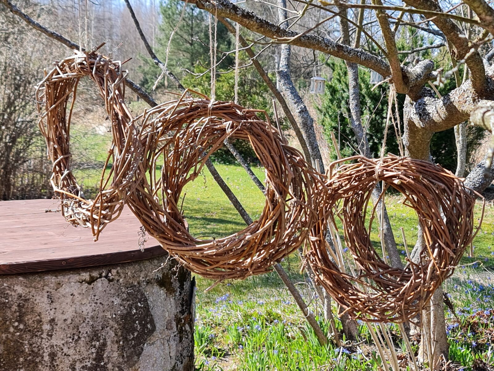 Natural vine twigs wreath biodegradable decor wall hanging | Etsy