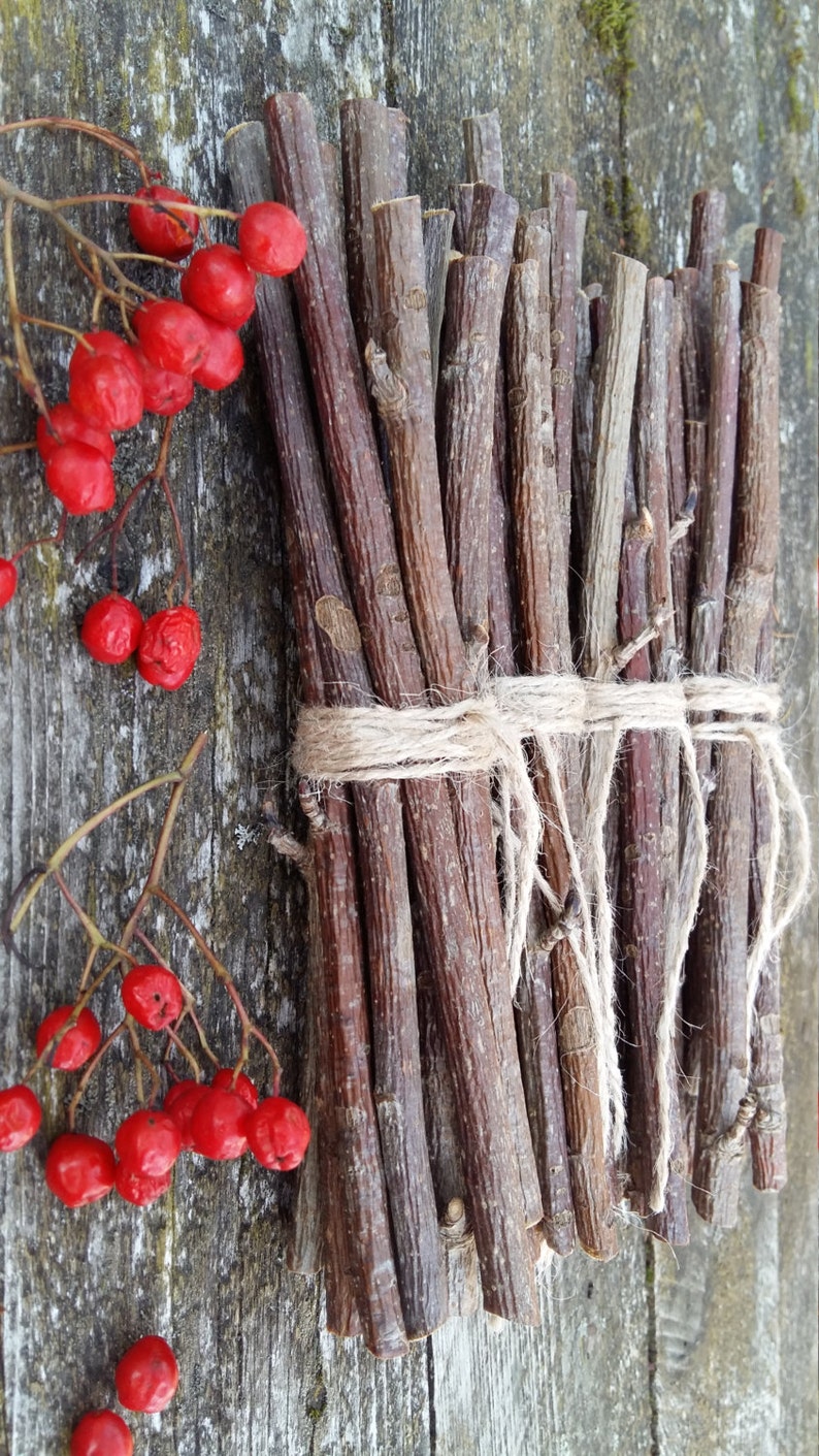 Rowan Sticks Mountain Ash Tree Branches Twigs Bundle Clearing - Etsy
