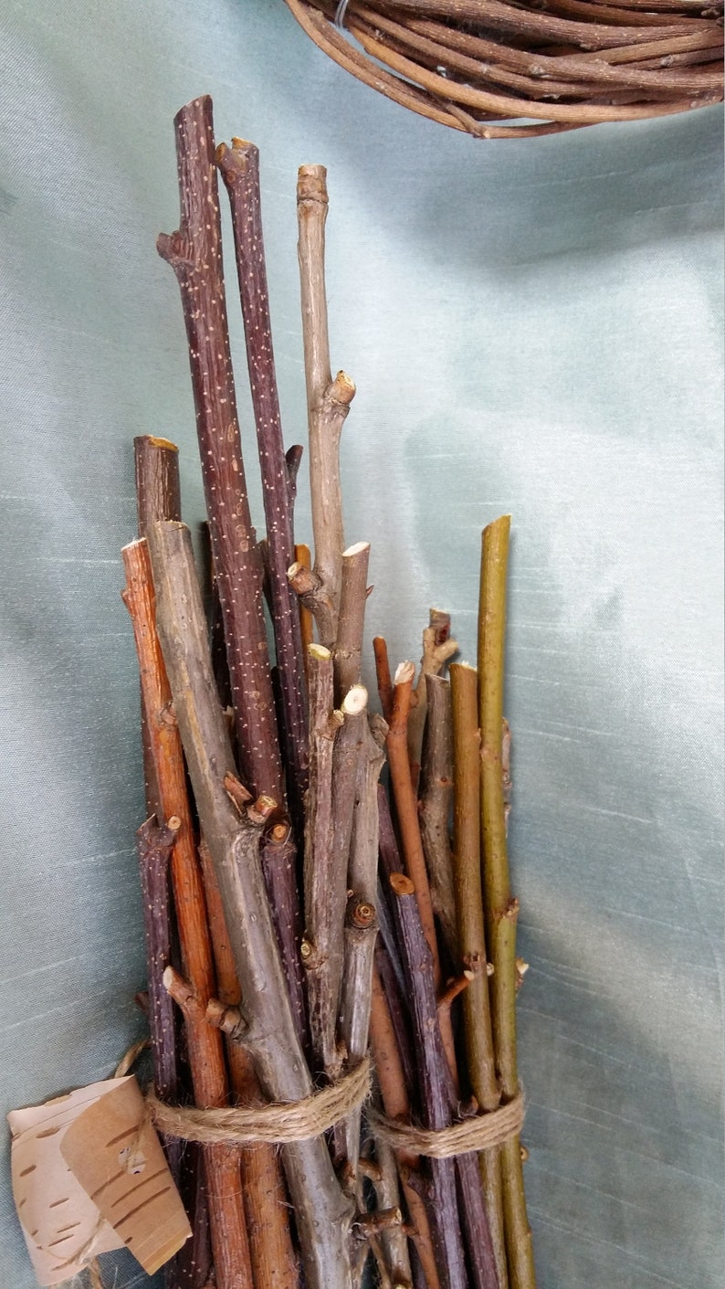 Craft Sticks Natural Northern Tree Wood Sticks Set Rustic | Etsy