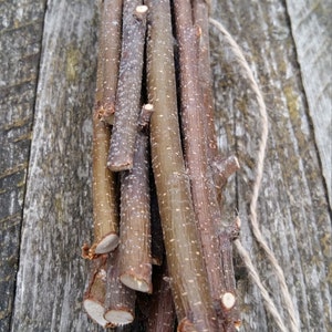 Birch Twigs Crafting Sticks Rustic Home Decor Bundle Tree Branches ...