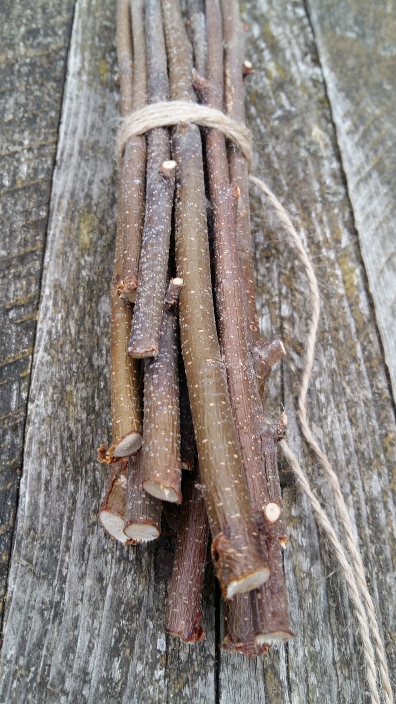Birch Twigs Crafting Sticks Rustic Home Decor Bundle Tree - Etsy