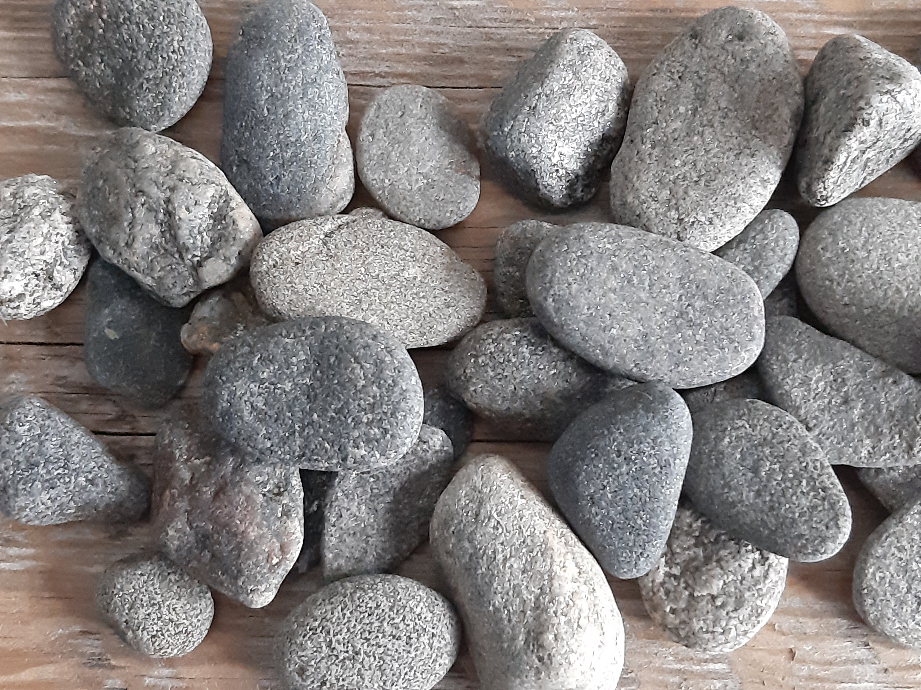 Small gray rocks pebbles sea side stones beach finds natural | Etsy