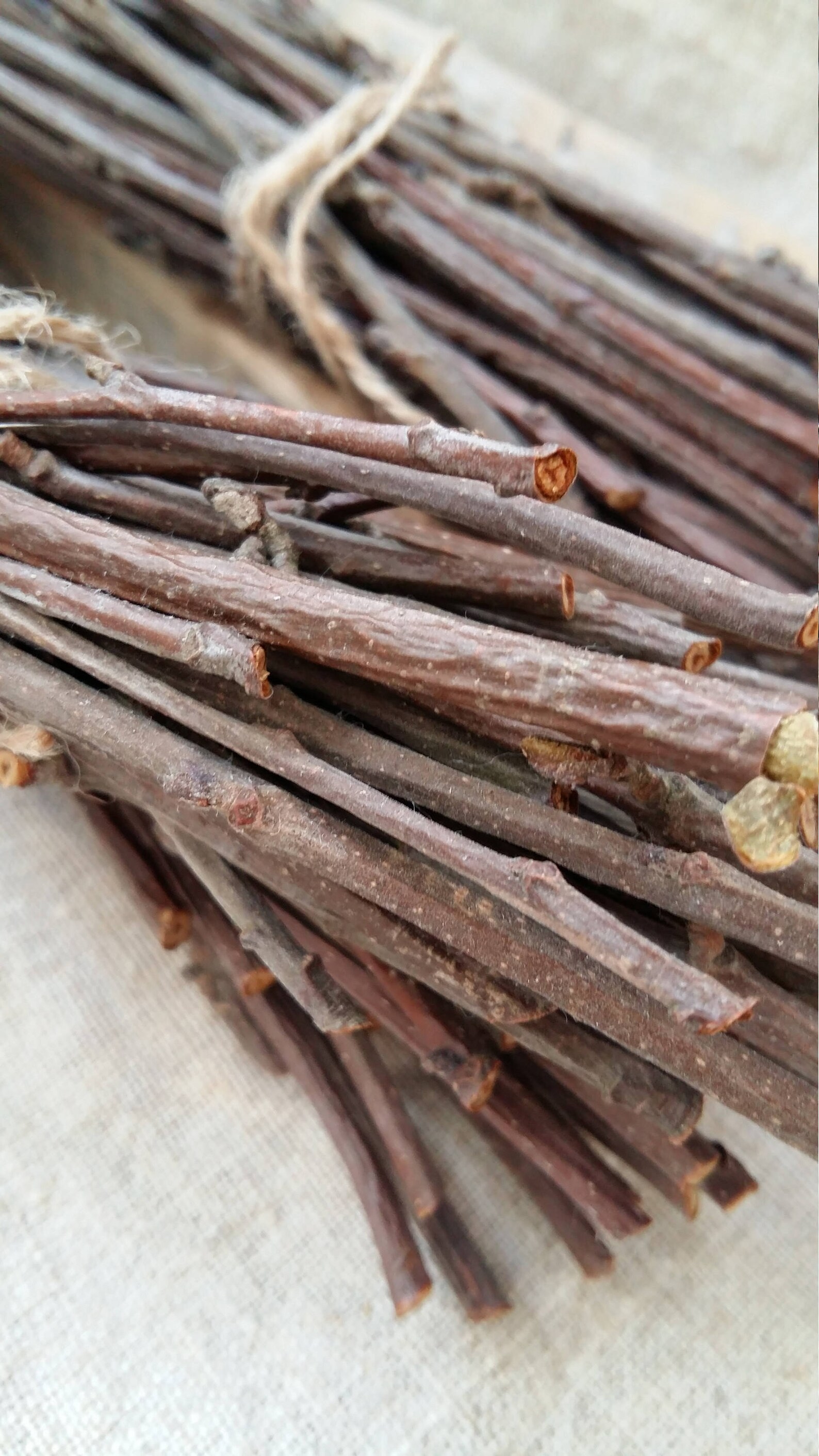 Tree branches bouquet decor natural twig springs alder wood | Etsy