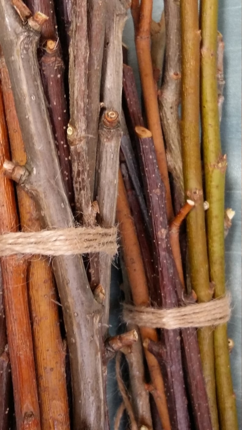 Craft Sticks Natural Northern Tree Wood Sticks Set Rustic - Etsy