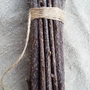 Bundle of Twigs Rustic Home Decor Botanical Tree Branches Sticks Alder ...