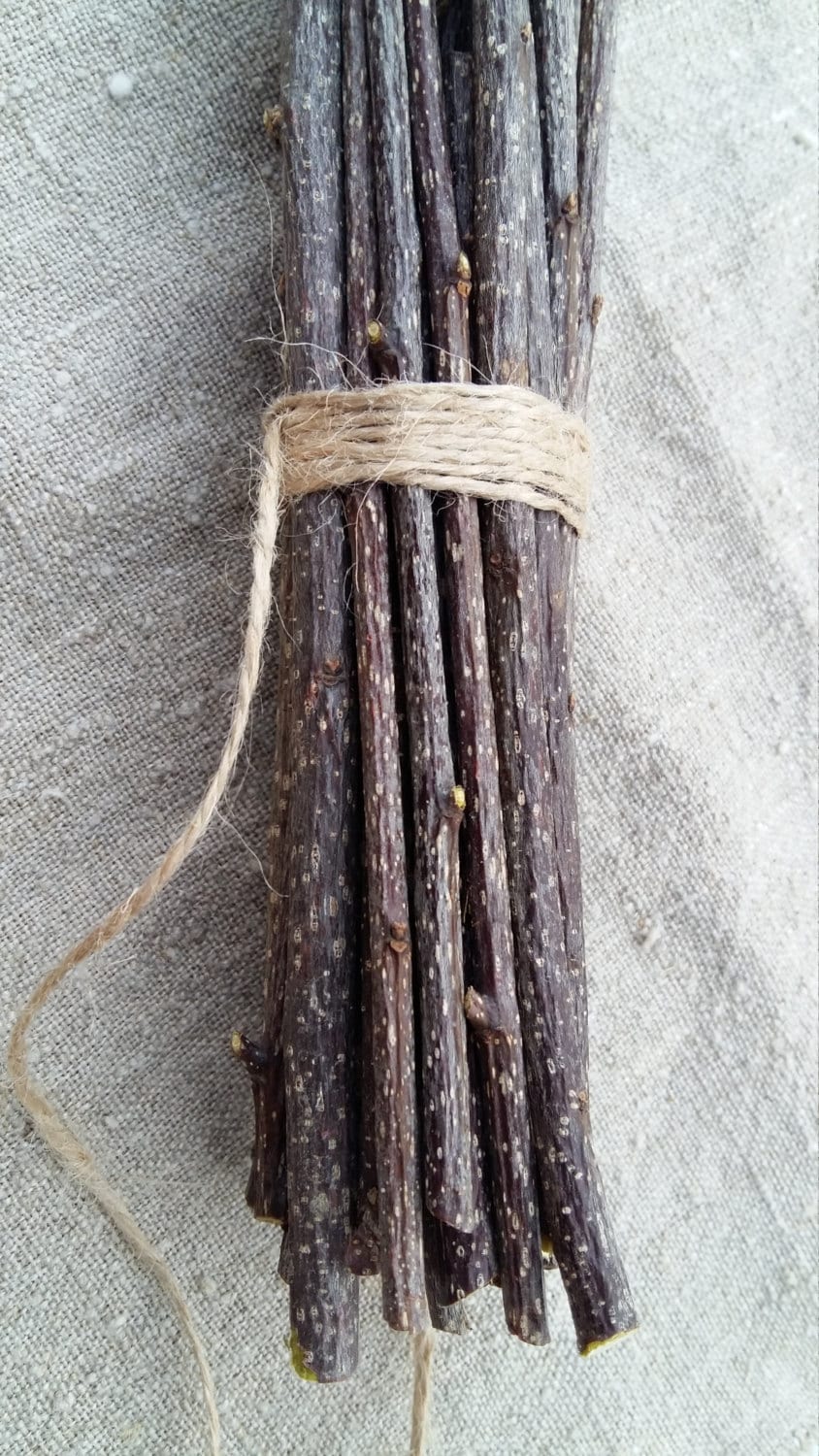 Bundle of Twigs Rustic Home Decor Botanical Tree Branches - Etsy