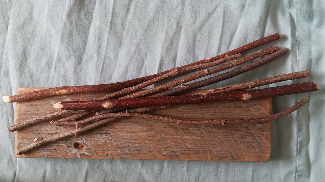 Craft Sticks Natural Wood Tree Branches DIY Wall Decor - Etsy UK