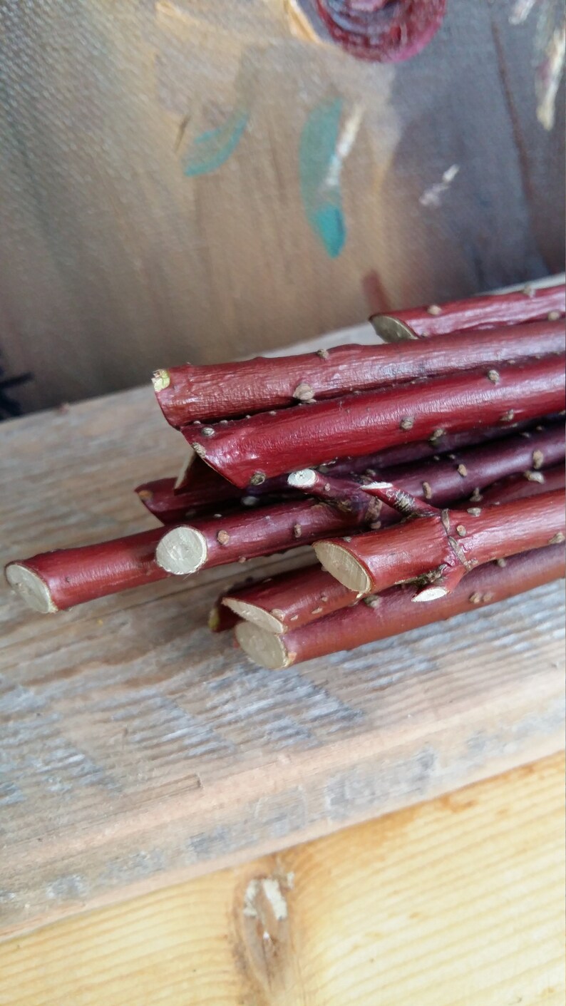 Craft Sticks Red Dogwood Tree Wood Branches Sticks Rustic Home - Etsy