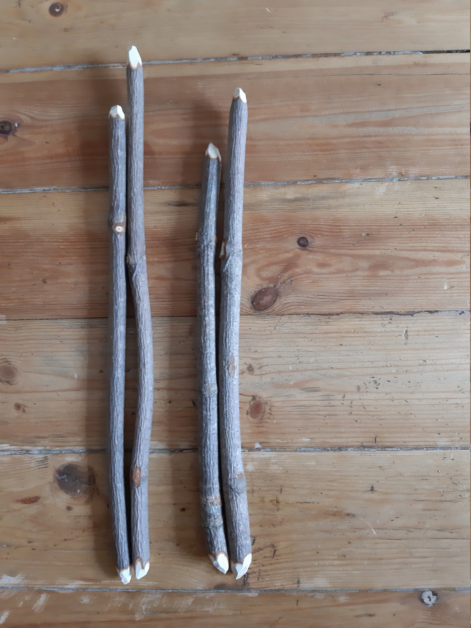 Chestnut wand supply wooden sticks horse chestnut tree natural | Etsy
