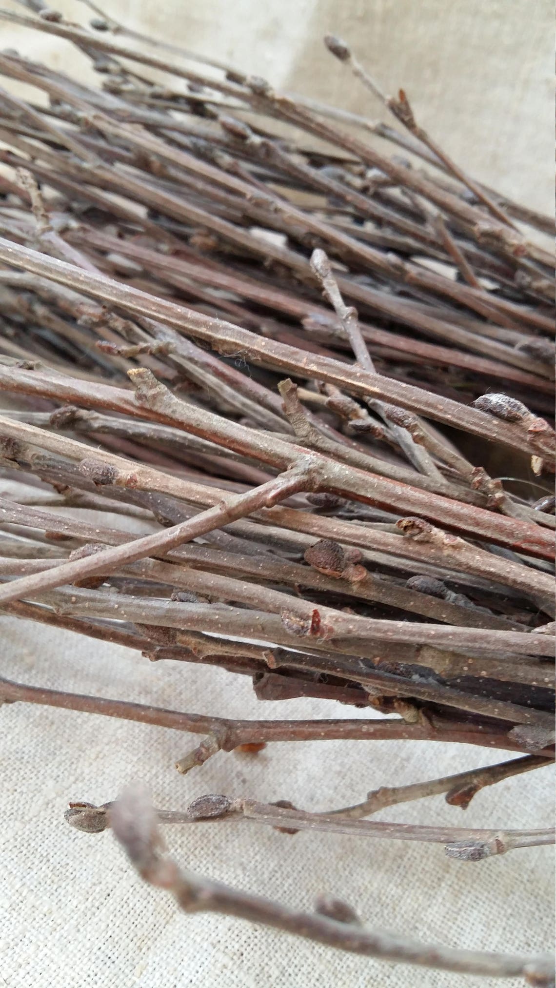 Tree branches bouquet decor natural twig springs alder wood | Etsy