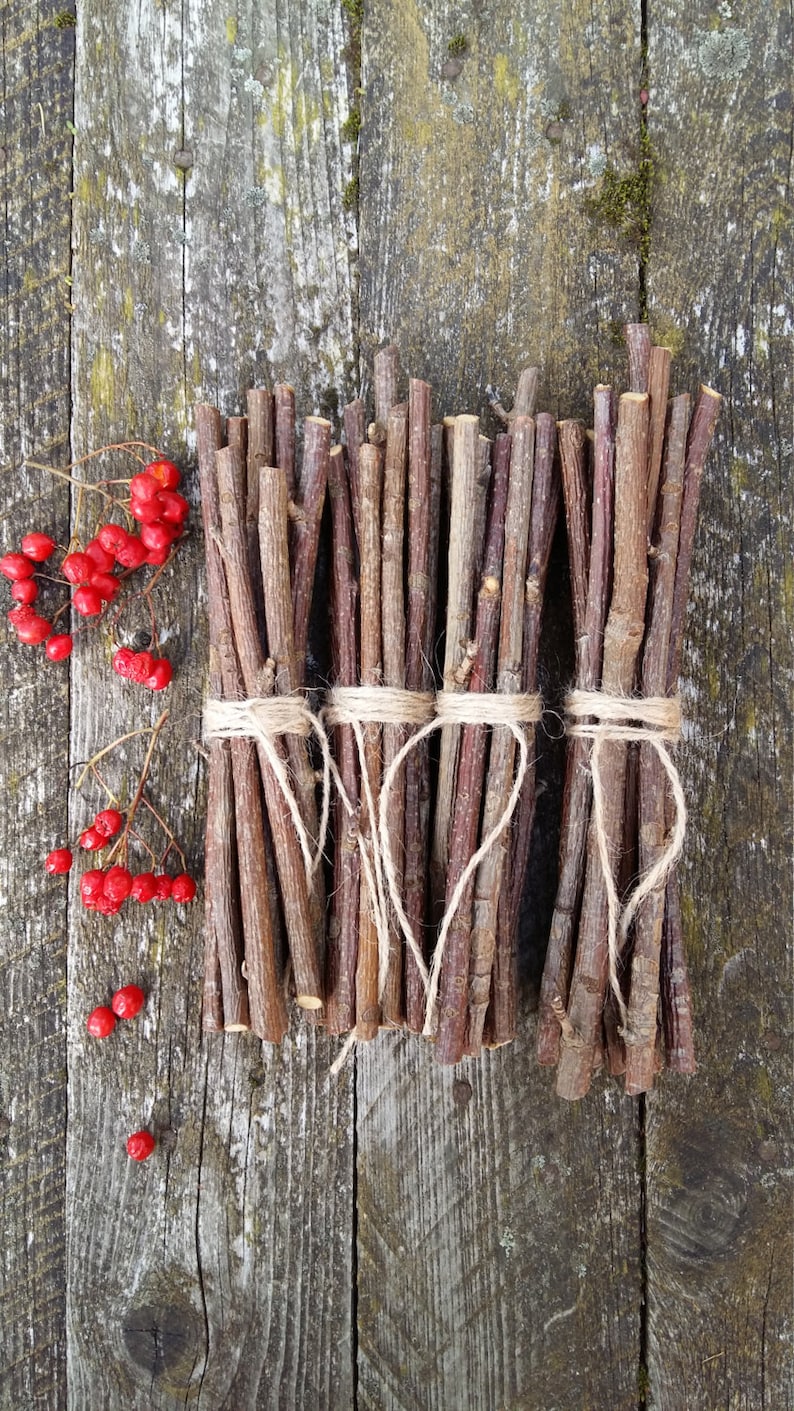 Rowan Sticks Mountain Ash Tree Branches Twigs Bundle Clearing - Etsy