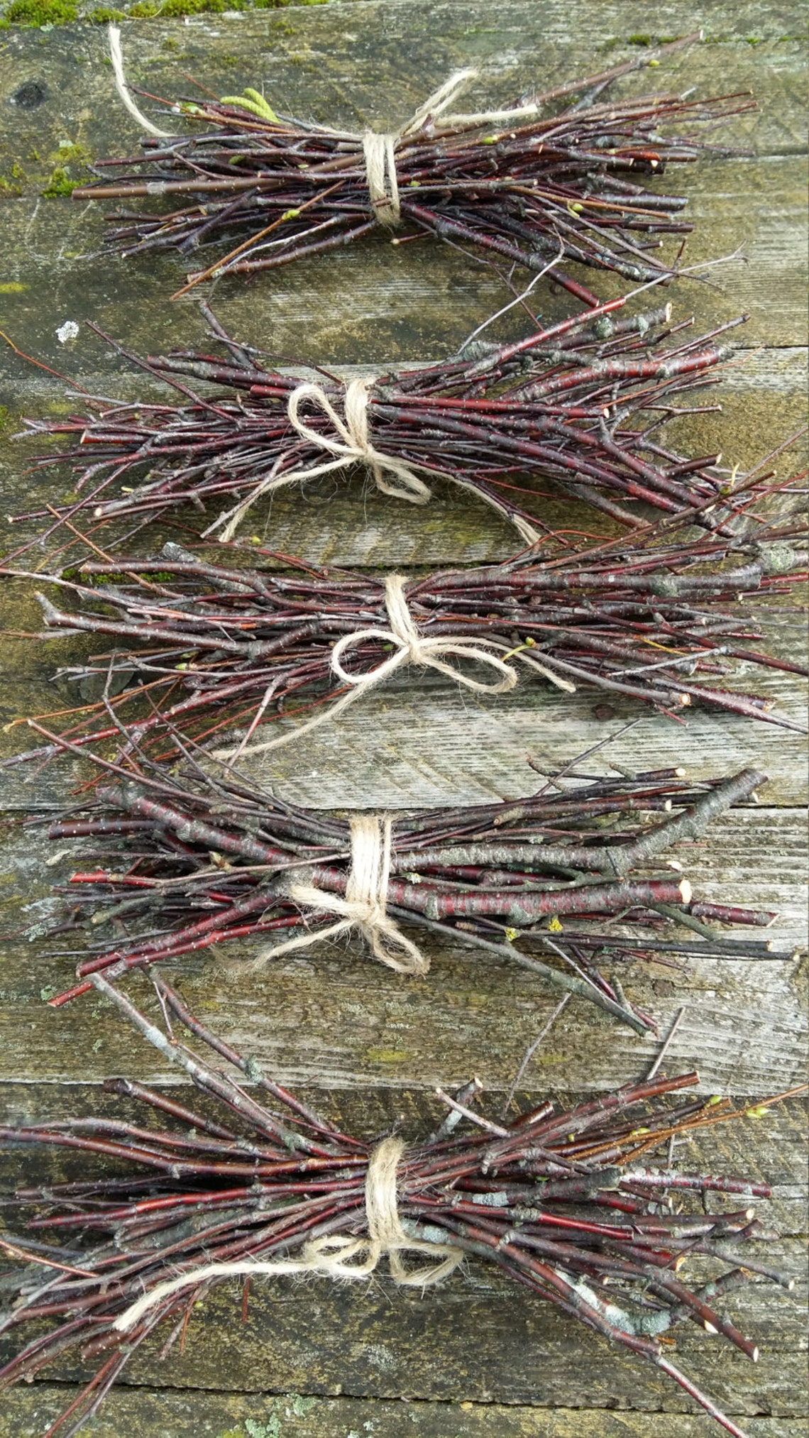 Birch Tree Twigs Branches 6 Bundles Rustic Woodland Wedding - Etsy